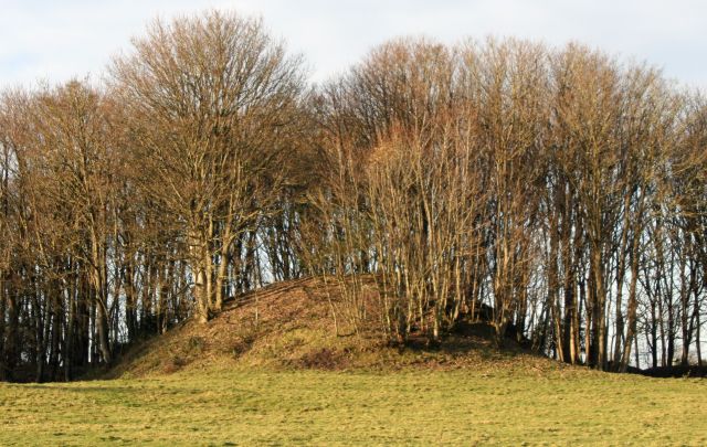 Donaghpatrick - Navan & District Historical Society