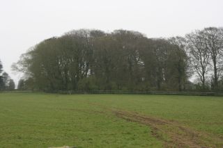 Skryne - Navan & District Historical Society